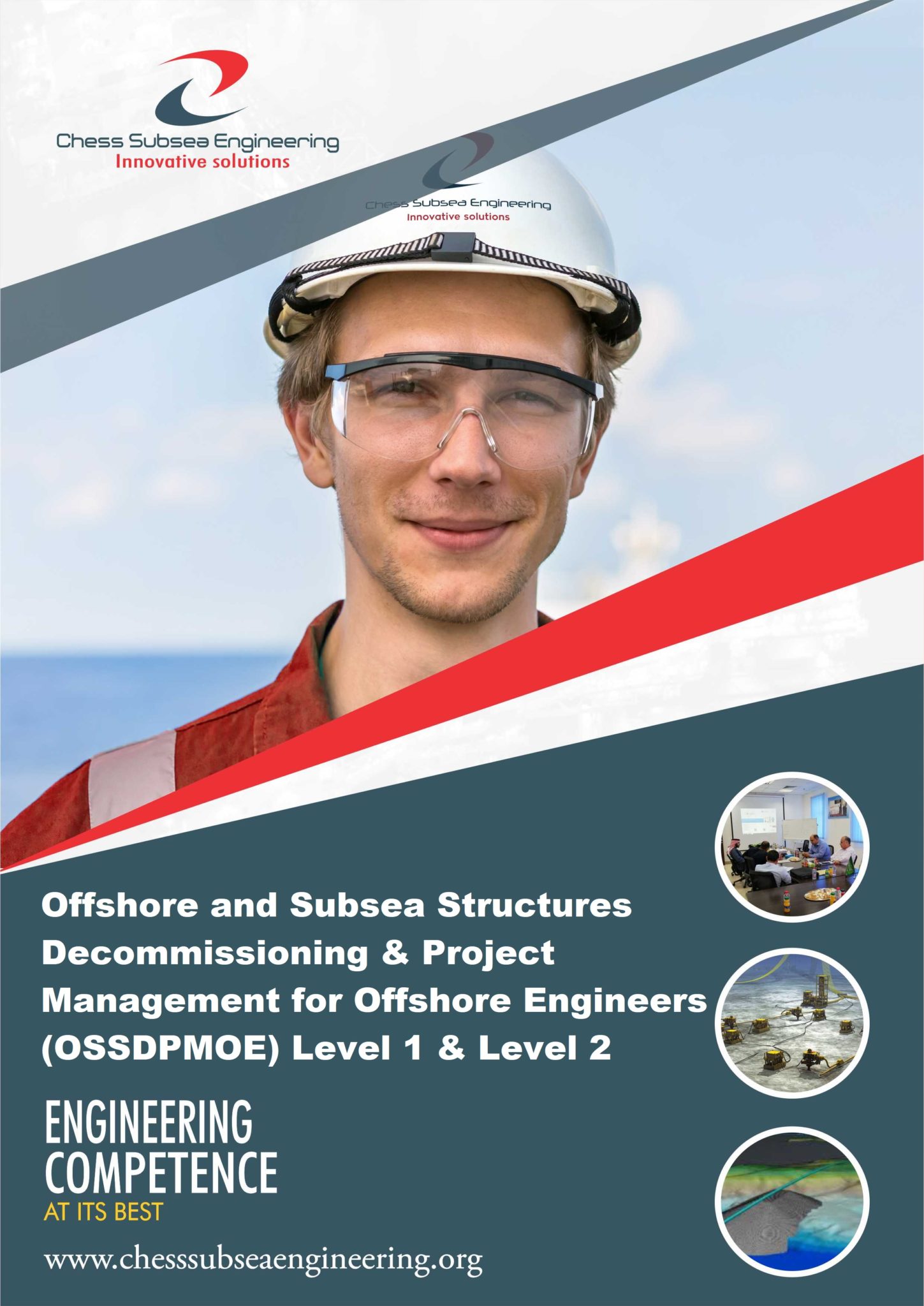 Offshore and Subsea Structures Decommissioning & Project Management for ...